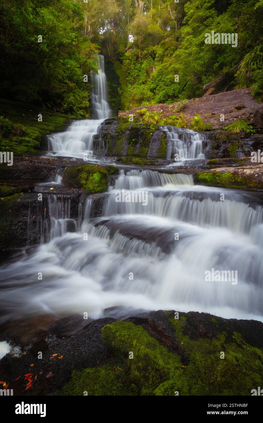 The McLean Falls is located on the Tautuku River in Catlins ...