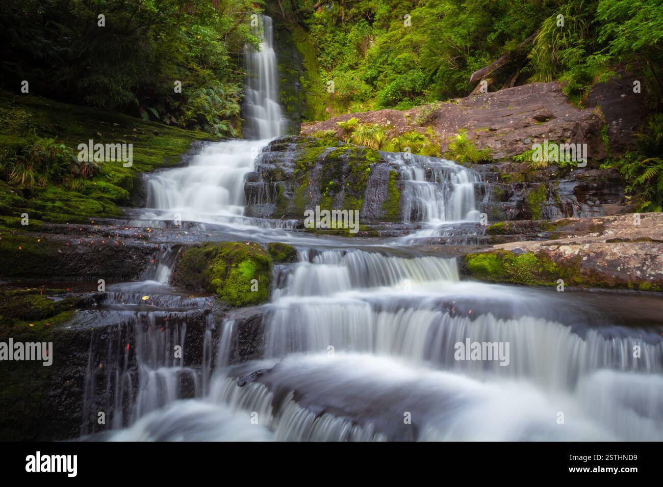 The McLean Falls is located on the Tautuku River in Catlins ...