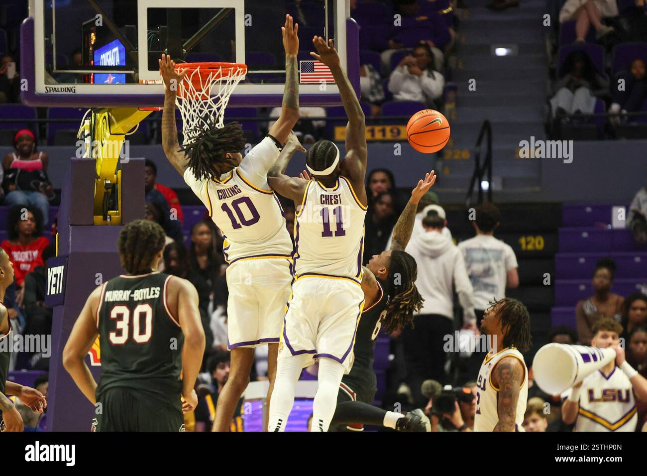 Baton Rouge, United States. 18th Feb, 2025. South Carolina Gamecocks ...