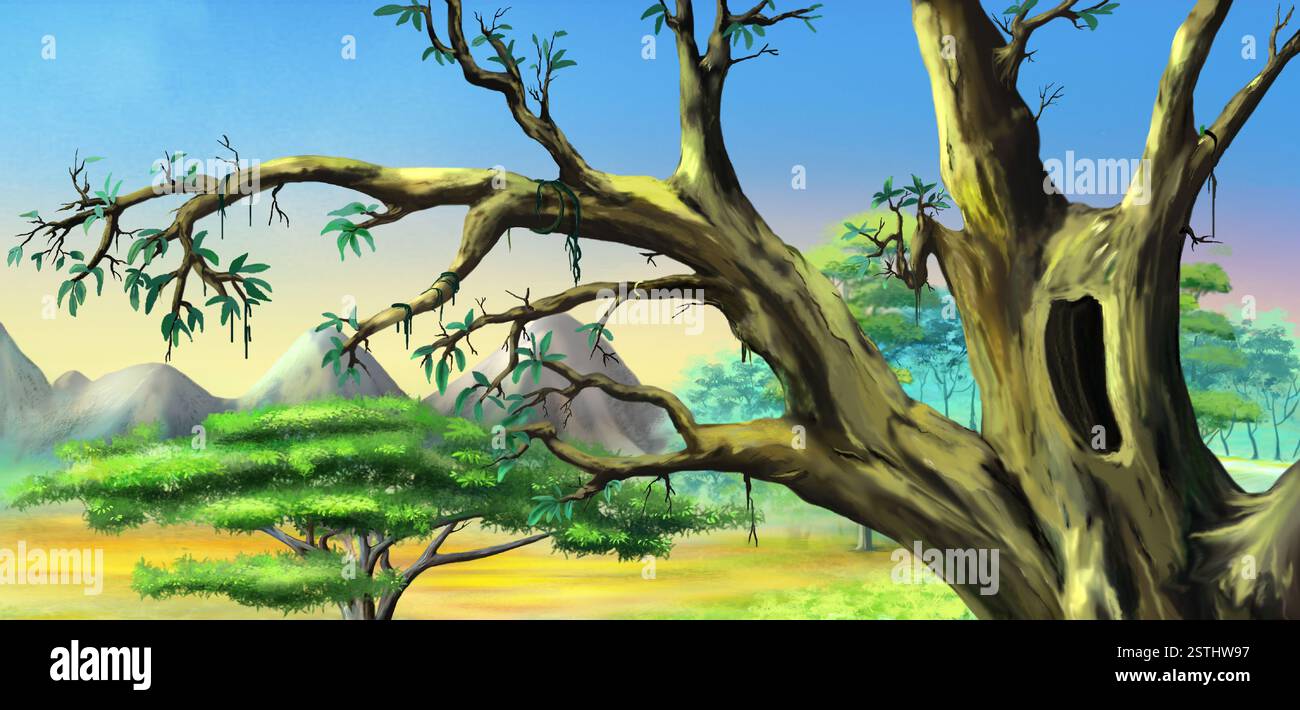 African Tree with Big Hollow against Blue Sky in a African national ...