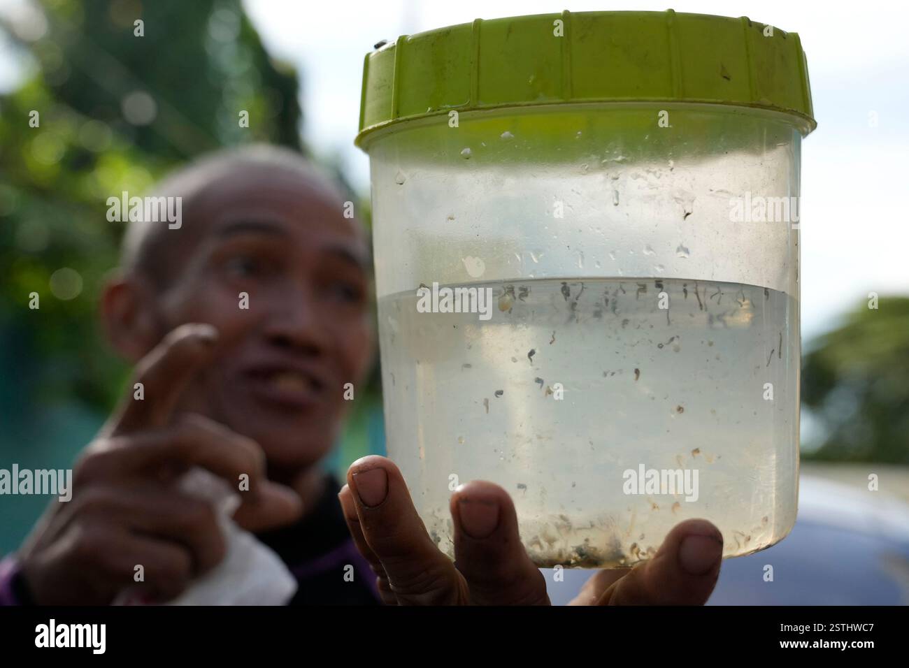 Miguel Labag shows a container with mosquito larvas which he caught ...