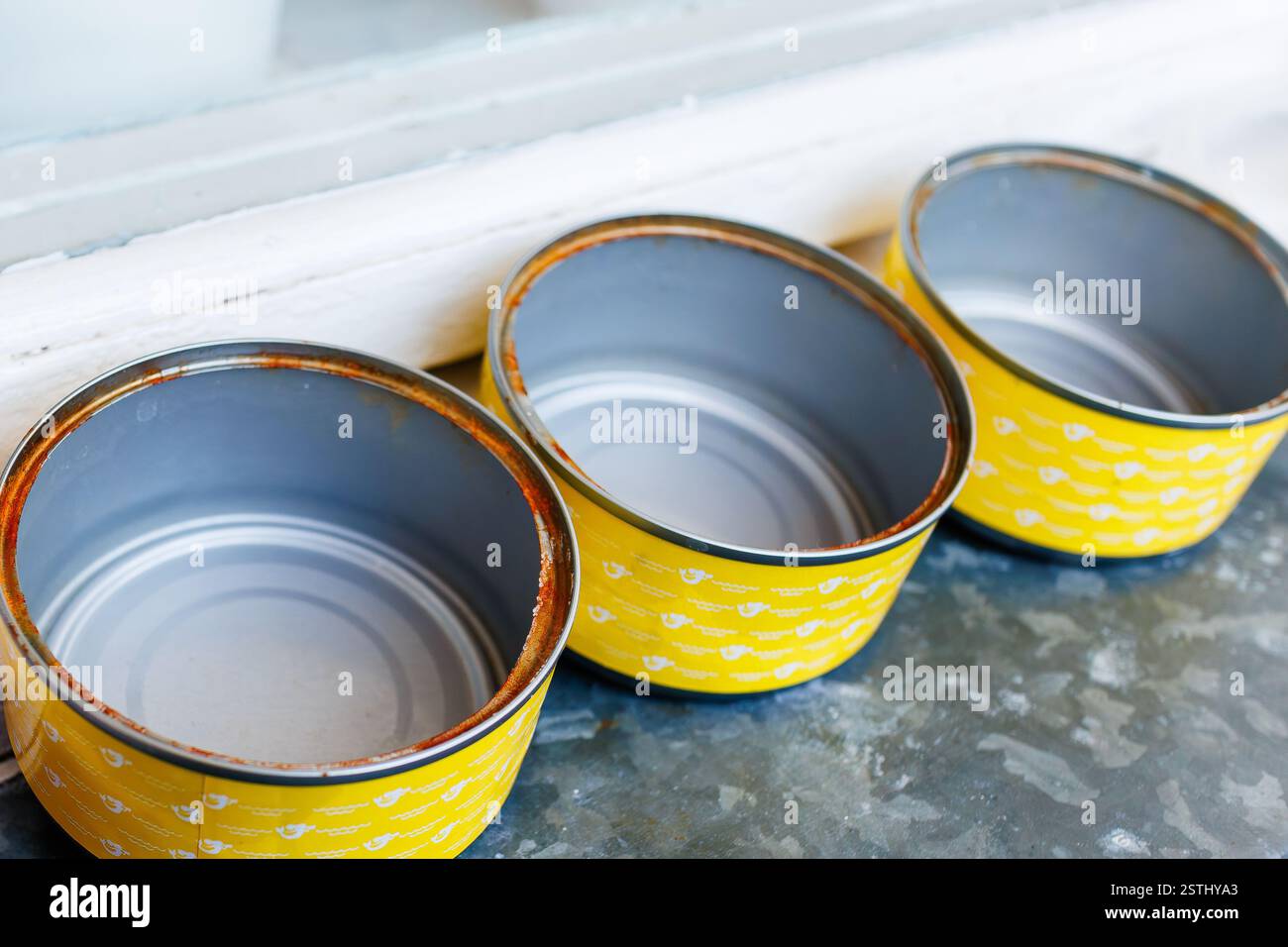Top view of three empty, old tin cans with yellow exteriors and rusted ...