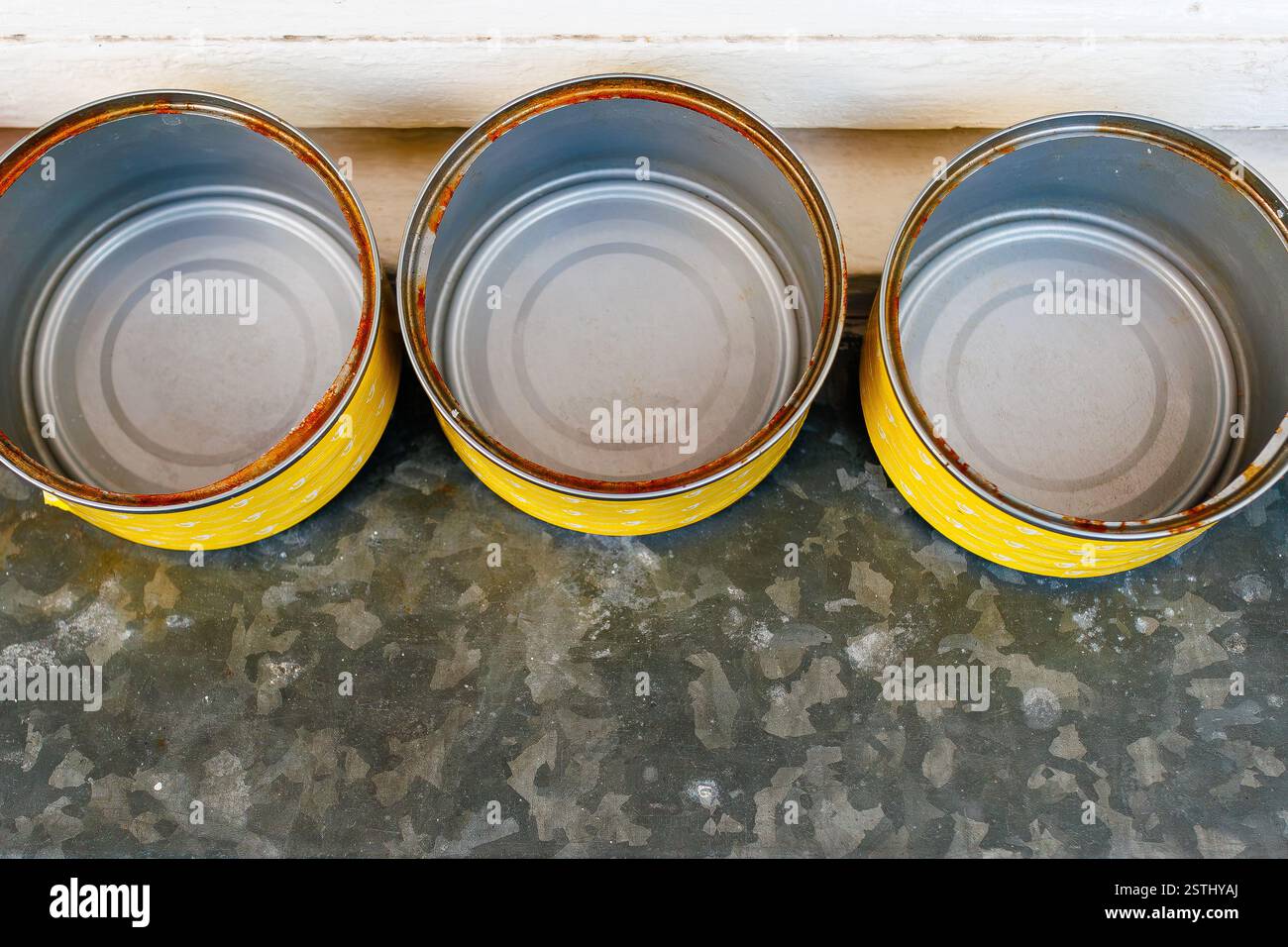 Top view of three empty, old tin cans with yellow exteriors and rusted ...