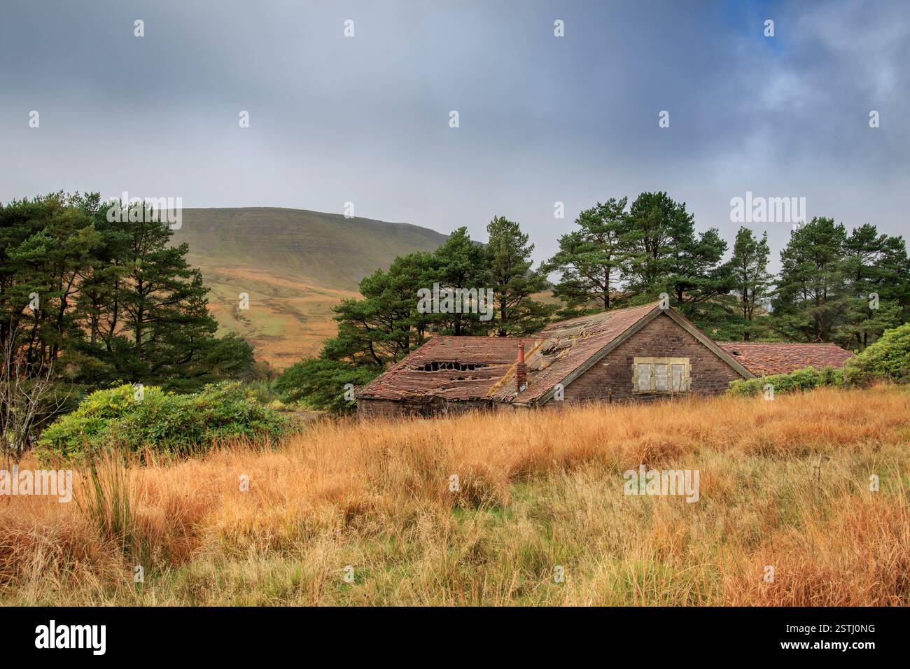 Old ruin house Stock Photo - Alamy