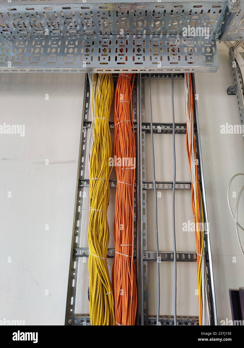 Tangled Connections: A Chaotic Network of Wires in a Digital Nervous ...