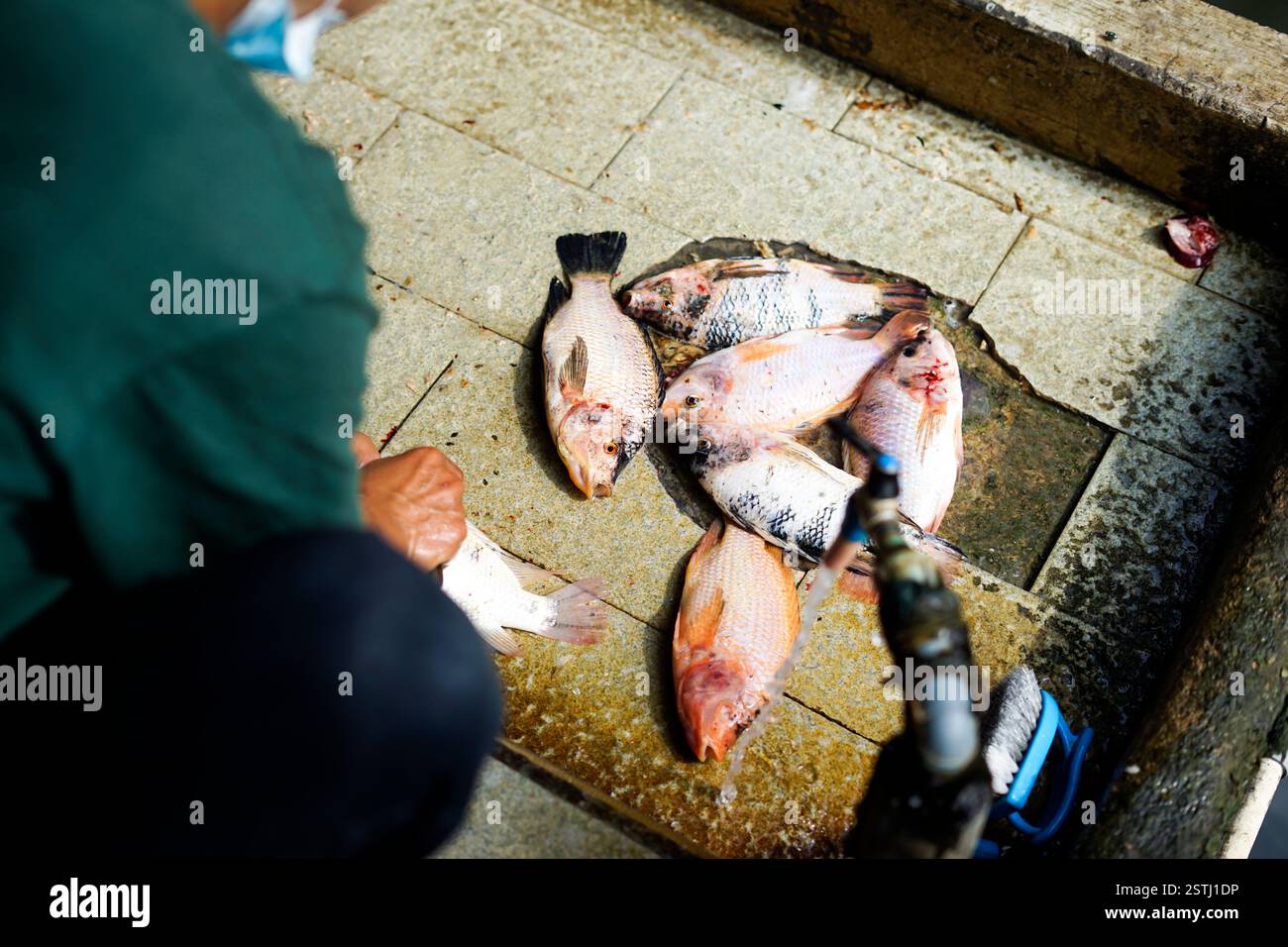 people clean fish before cooking Stock Photo - Alamy