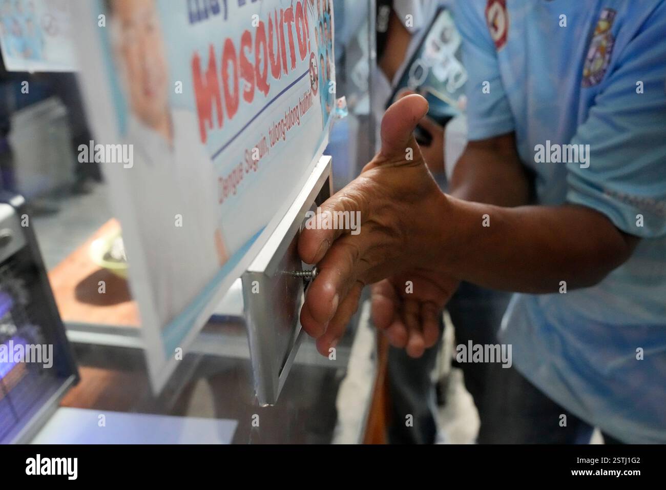 A captured mosquito is transferred to a glass enclosure with UV light ...
