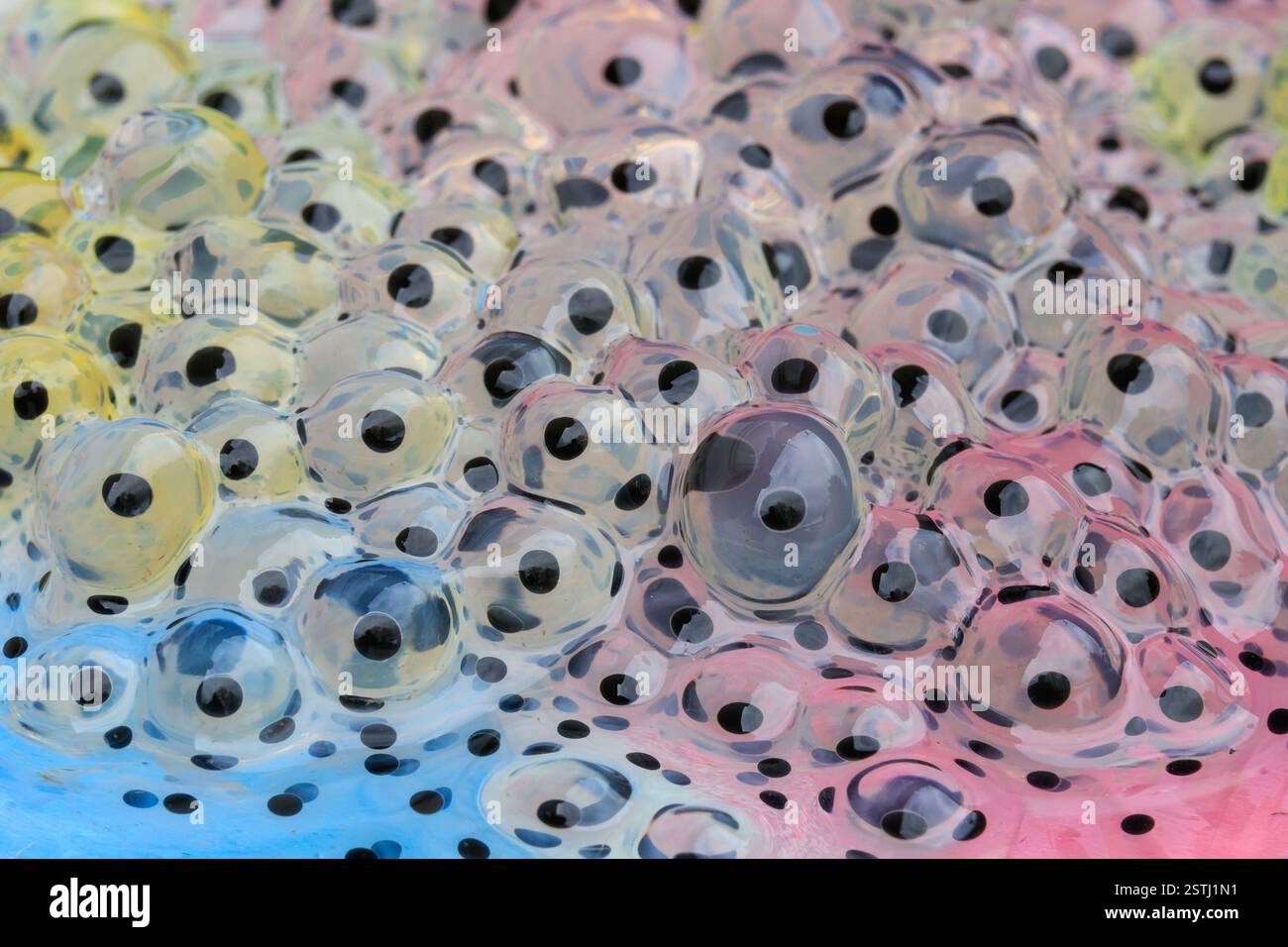 Frogspawn texture hi-res stock photography and images - Alamy