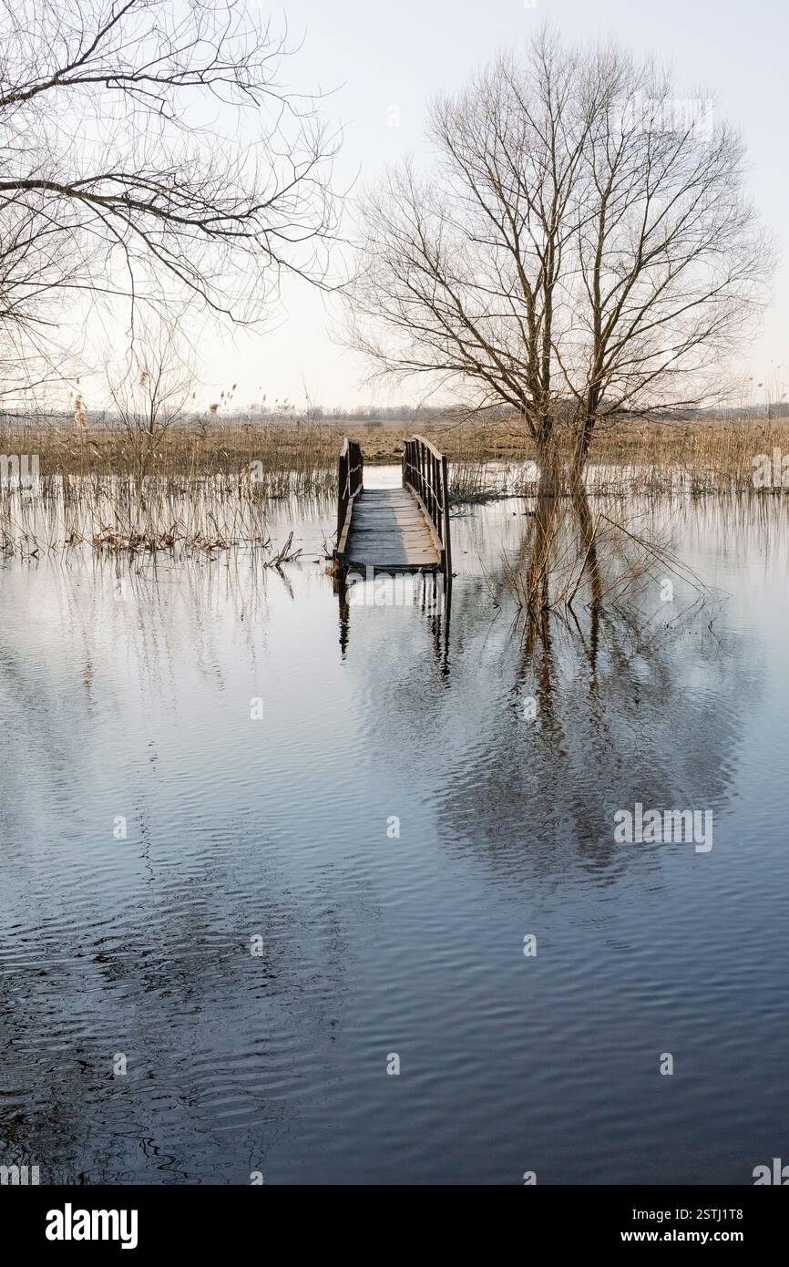 the river left the banks in early spring and flooded the pedestrian ...