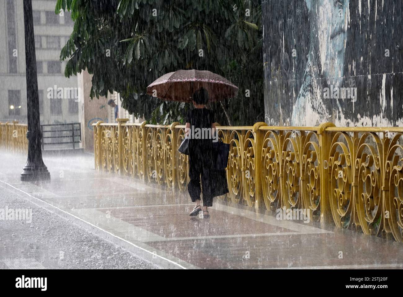 Pedestrians face heavy rain with hail in São Paulo on Tuesday afternoon ...