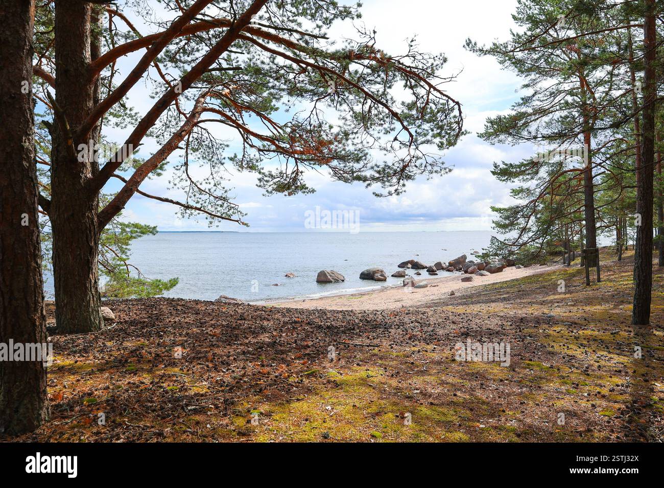 Summer on Kaunissaari, Eastern Gulf of Finland. Calm sea, blue sky, and ...