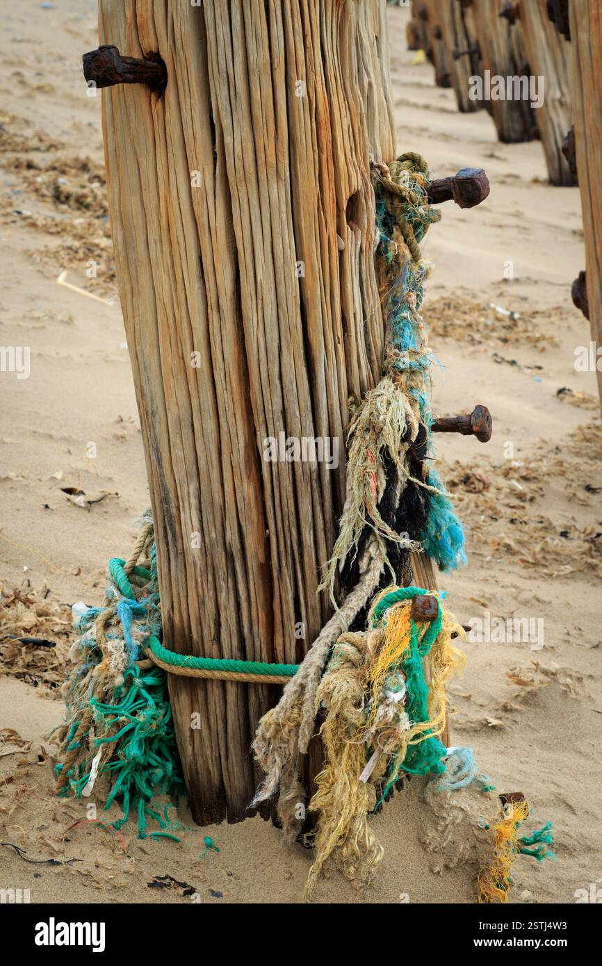 Wooden groynes on the beach at spurn point Stock Photo - Alamy