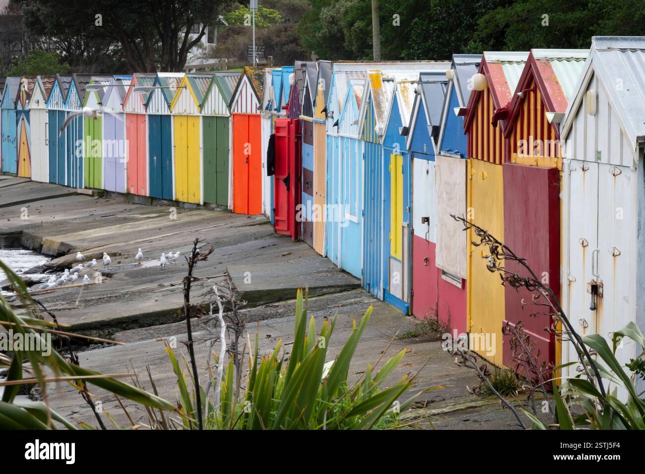 Colourful boat sheds, Titahi Bay beach, Porirua, Wellington, North ...