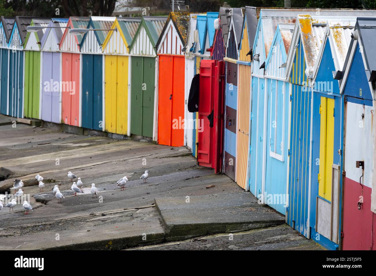 Colourful boat sheds, Titahi Bay beach, Porirua, Wellington, North ...