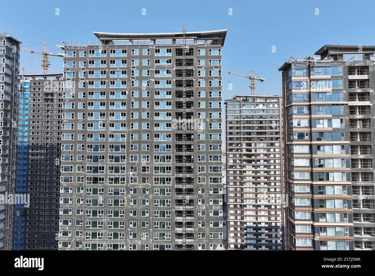Nanjing, China. 19th Feb, 2025. NANJING, CHINA - FEBRUARY 19, 2025 - A ...