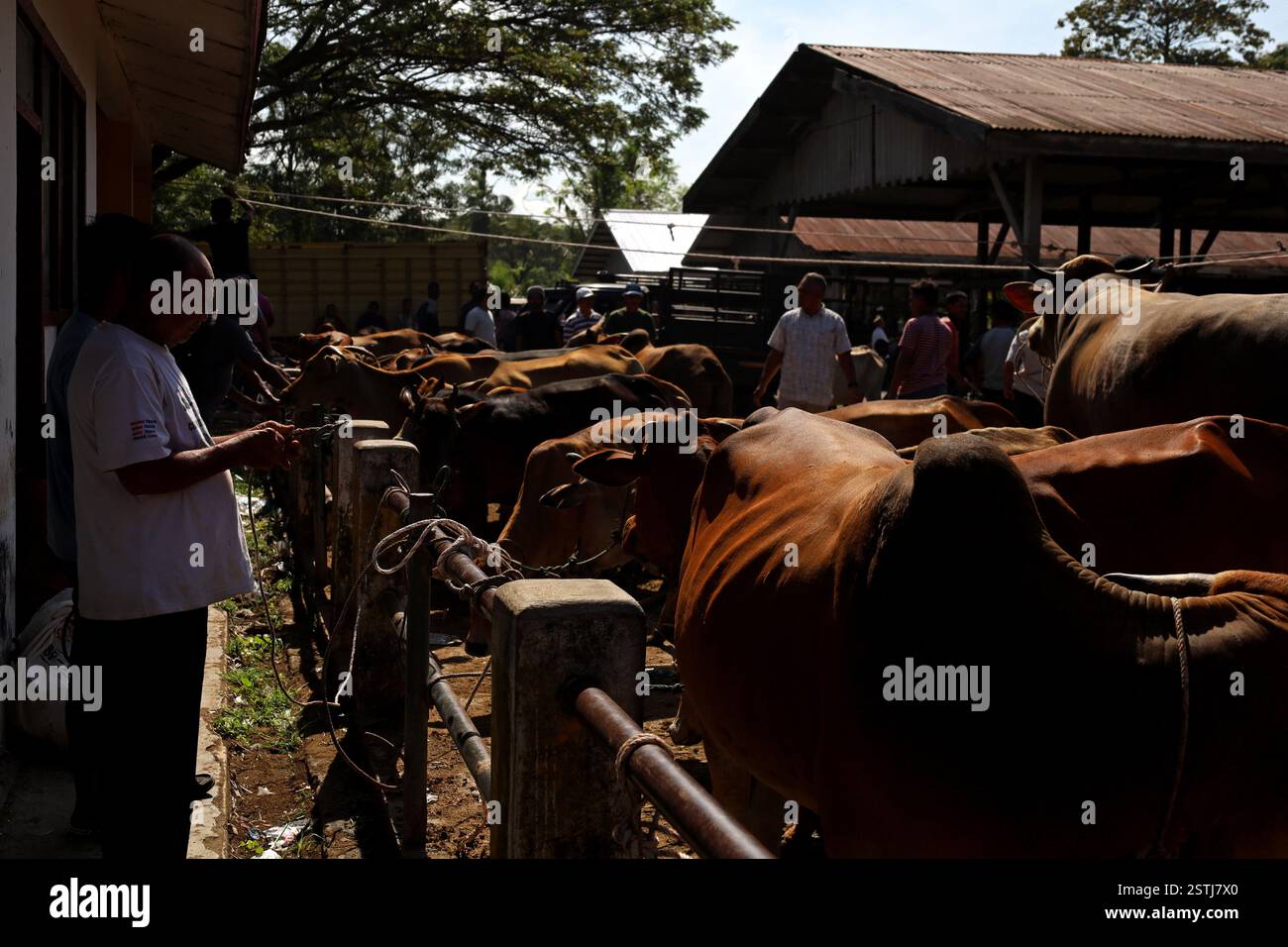 February 19, 2025, Aceh Besar, Aceh, Indonesia: A number of traders and ...