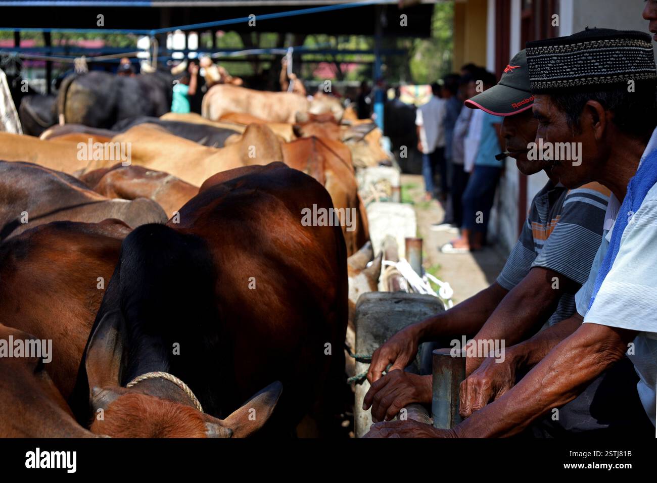 February 19, 2025, Aceh Besar, Aceh, Indonesia: A number of traders and ...