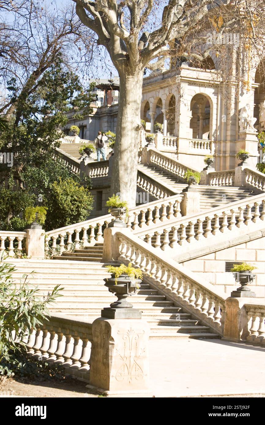 Grand staircase architecture in a park setting. Steps, balustrades ...