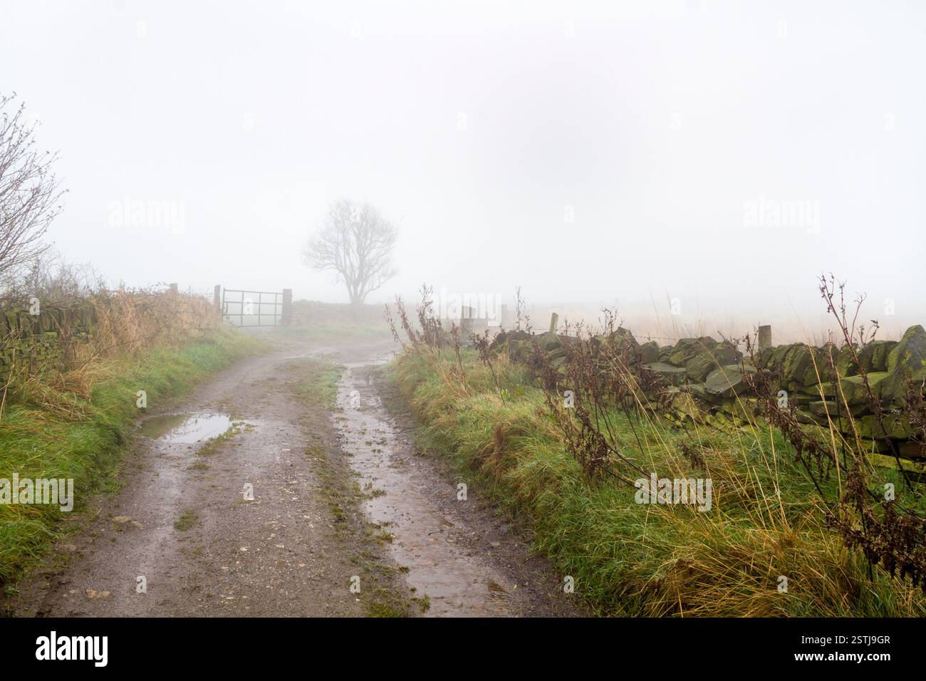 Thick smoke on field hi-res stock photography and images - Alamy