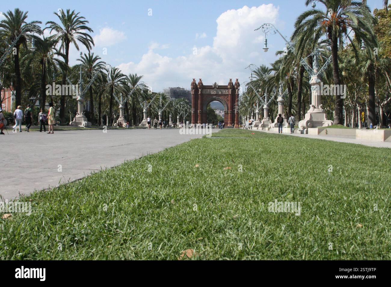Framing: Arc de Triumph framed by palm trees and a park walkway ...