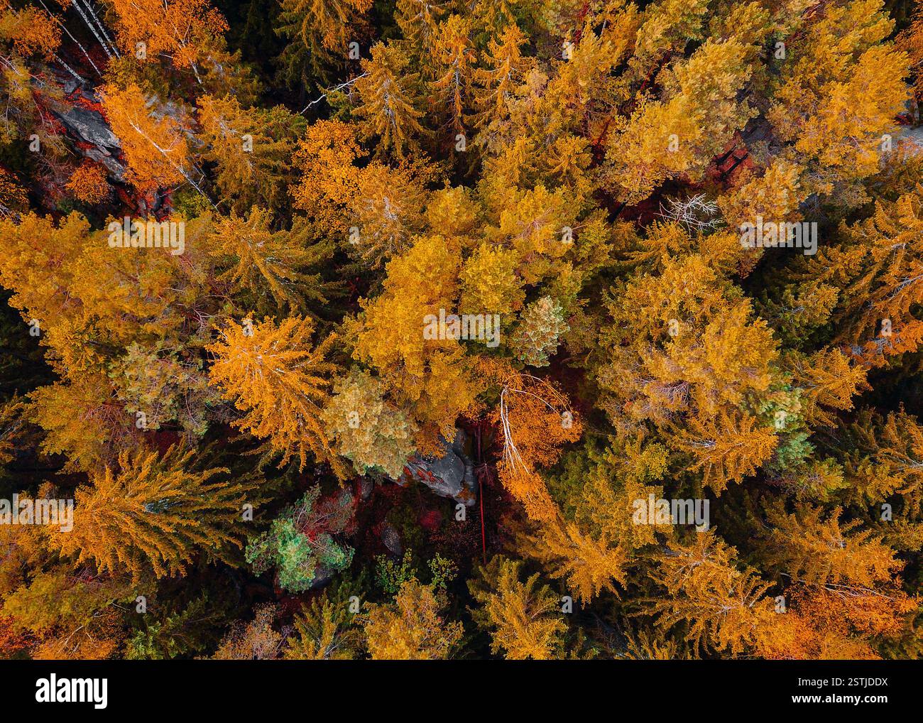 Top down flying over hi-res stock photography and images - Alamy