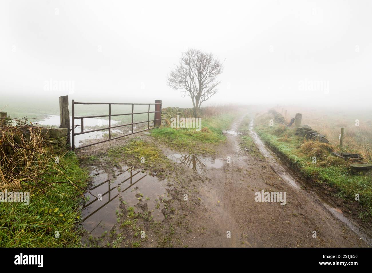 Thick smoke on field hi-res stock photography and images - Alamy