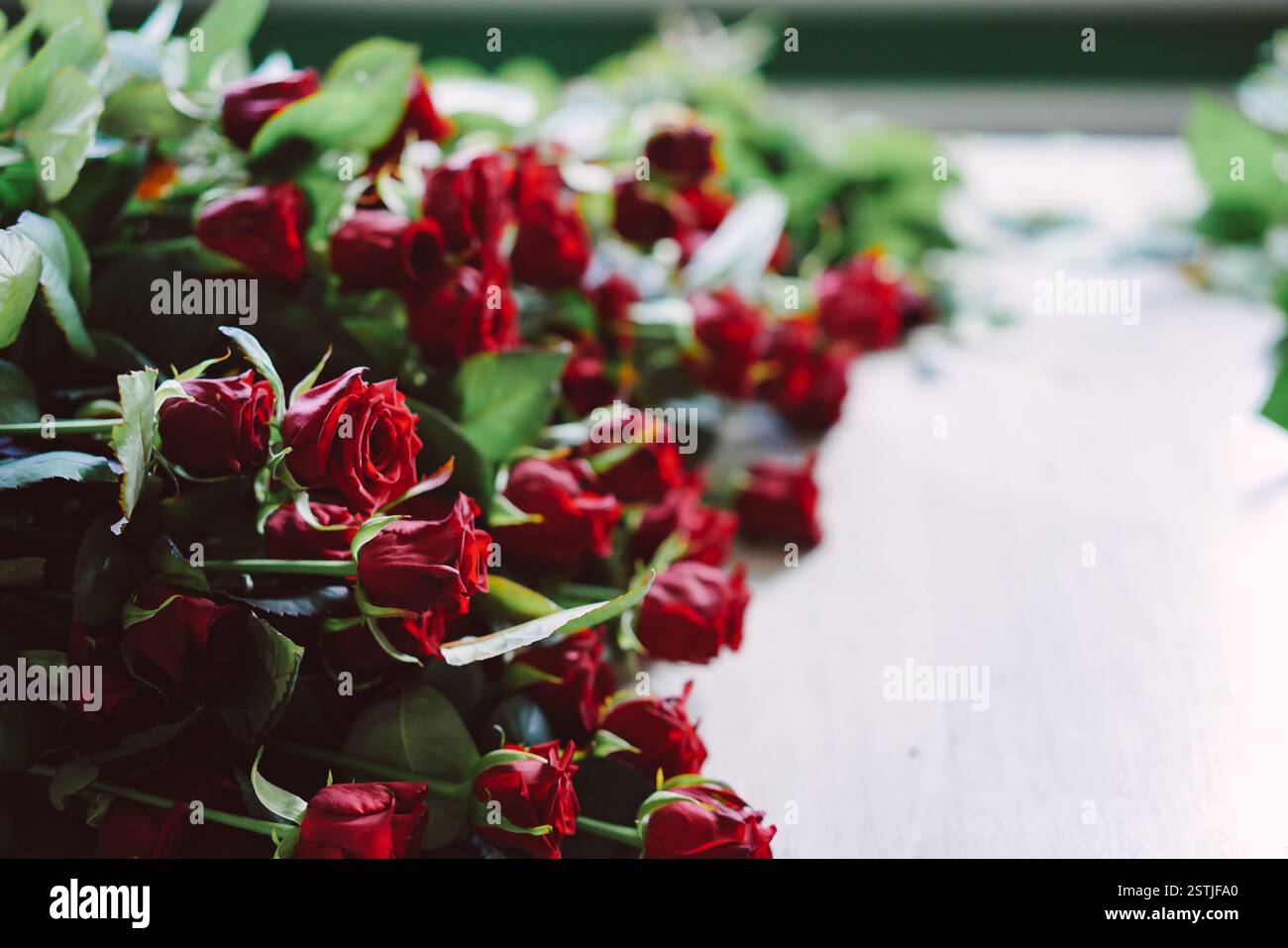 Fresh cut red roses lie on the table Stock Photo - Alamy