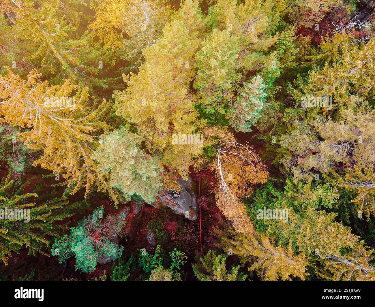 Aerial top down flying hi-res stock photography and images - Alamy