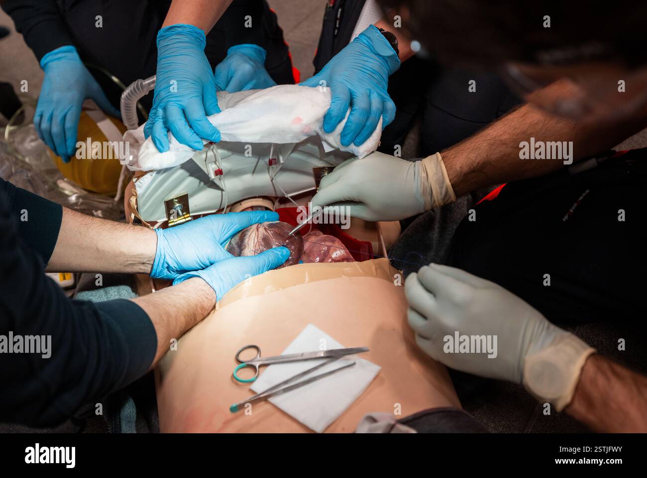 As part of an exercise on Monday, February 17, 2025, in Vienna, Austria ...