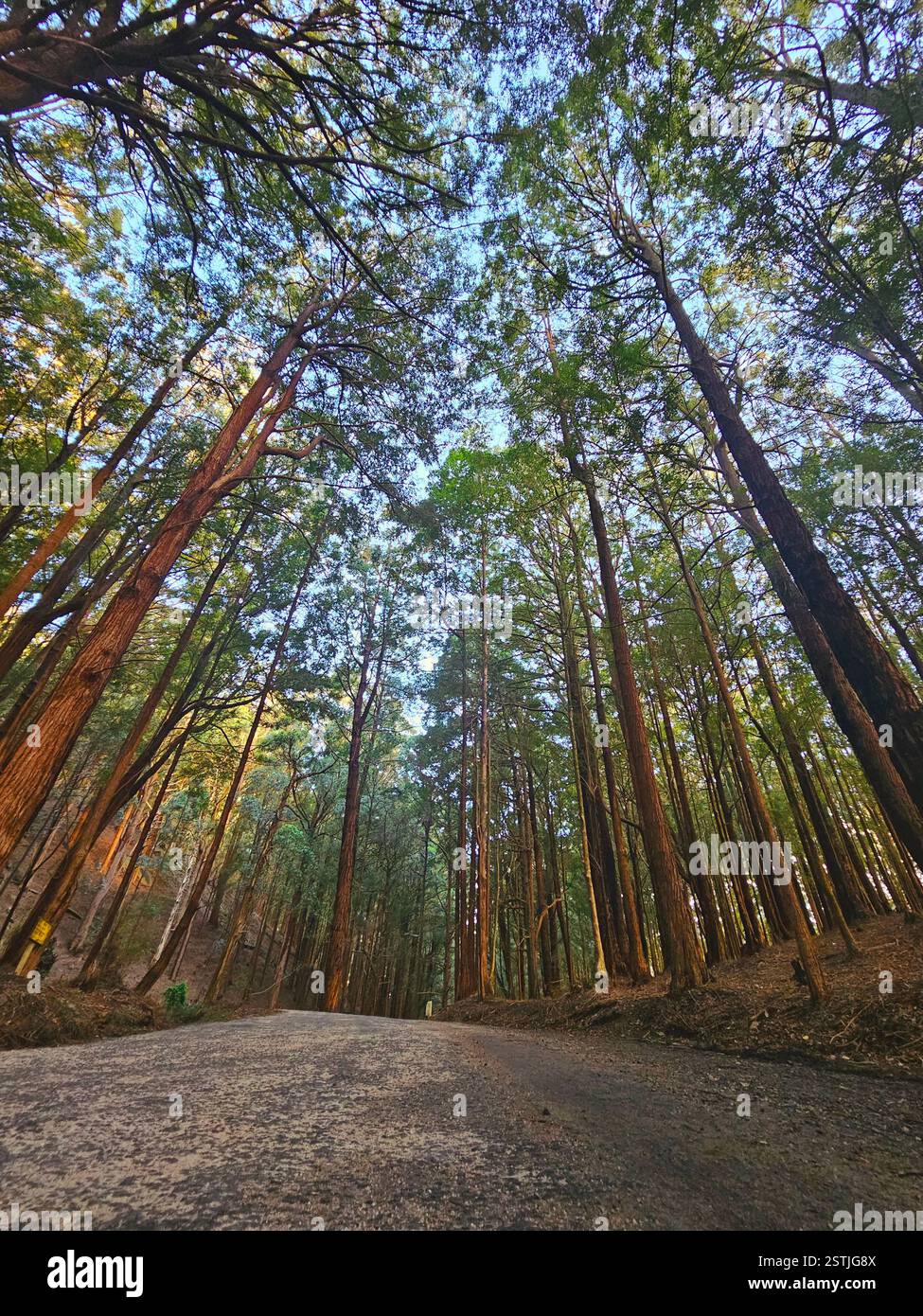 Visitsl hi-res stock photography and images - Alamy