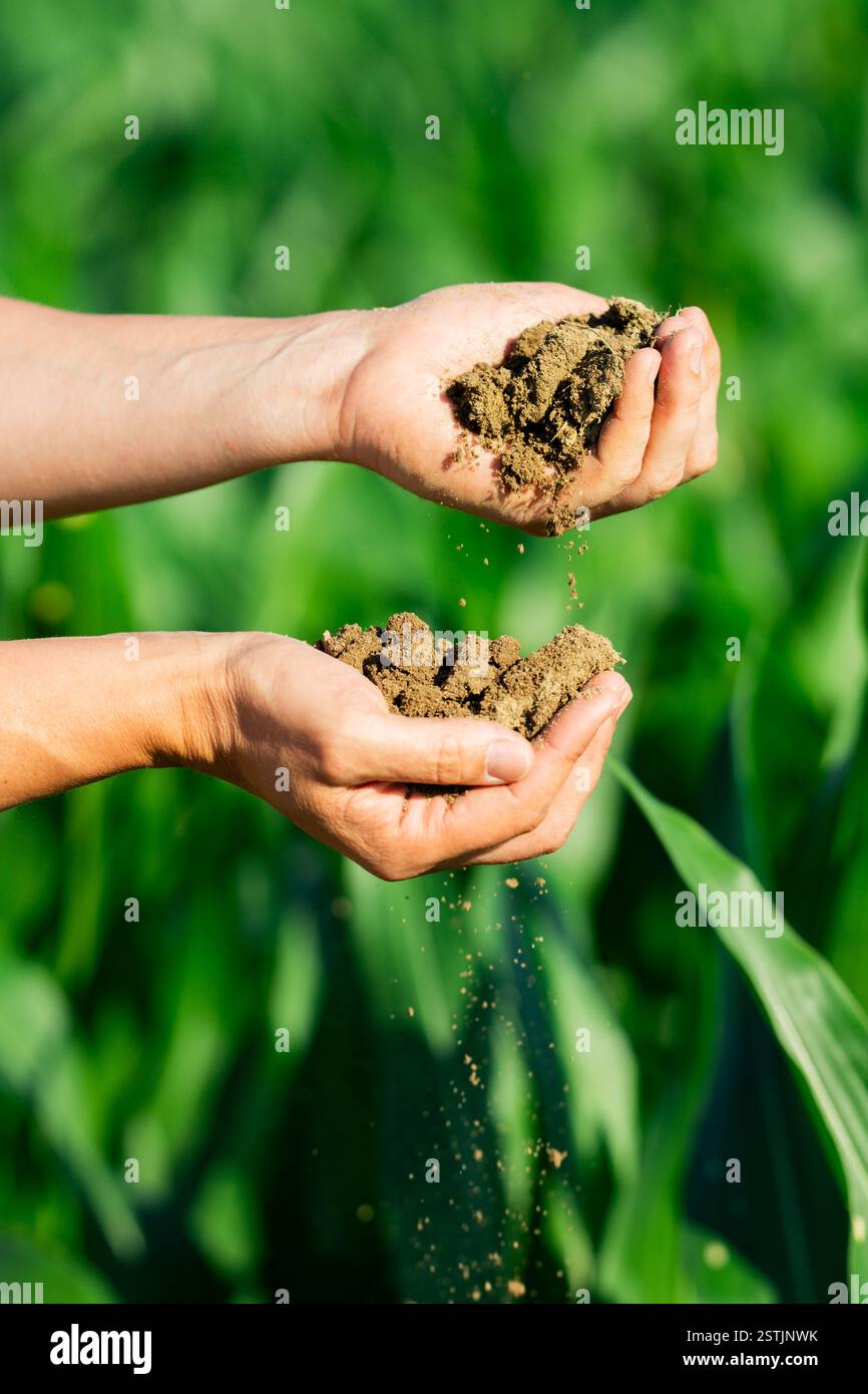 Farmer collecting soil. Agronomist checking soil and plant health on ...