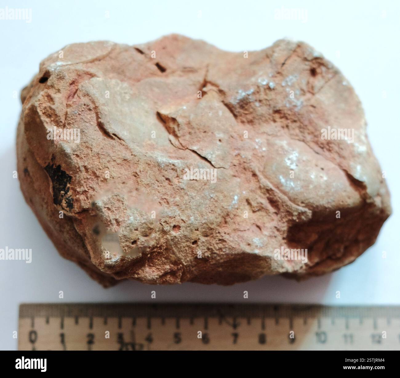Clay sedimentary rock sample hi-res stock photography and images - Alamy