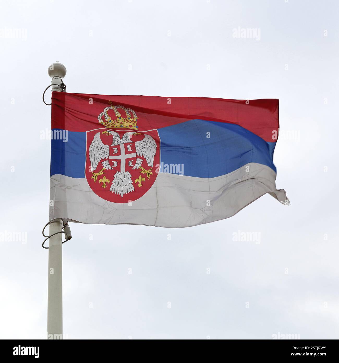 Serbian flag flying at pole windy day hi-res stock photography and ...