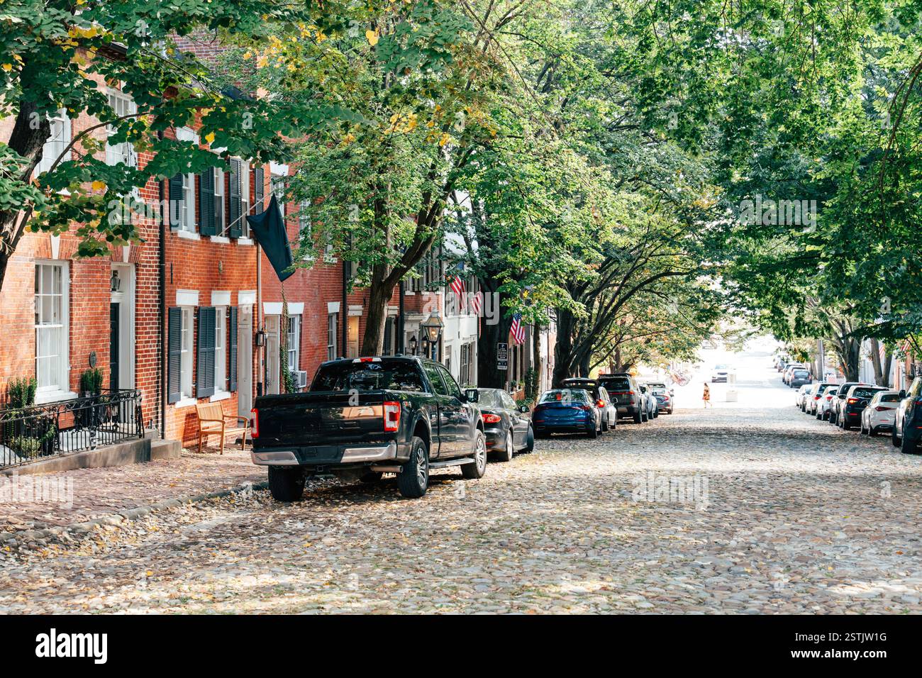 This scene showcases a picturesque cobblestone street in Alexandria ...