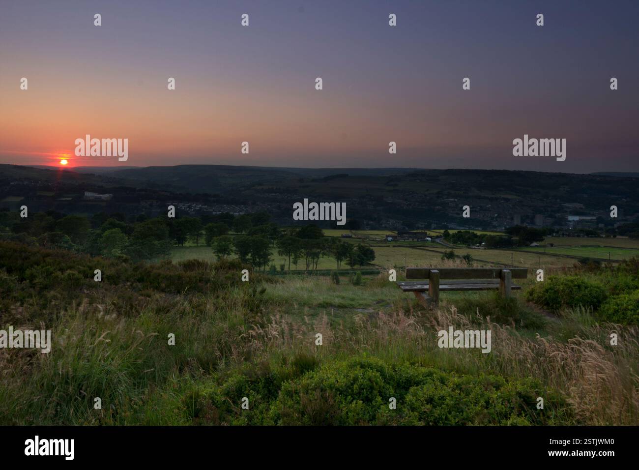 Moor growth hi-res stock photography and images - Alamy