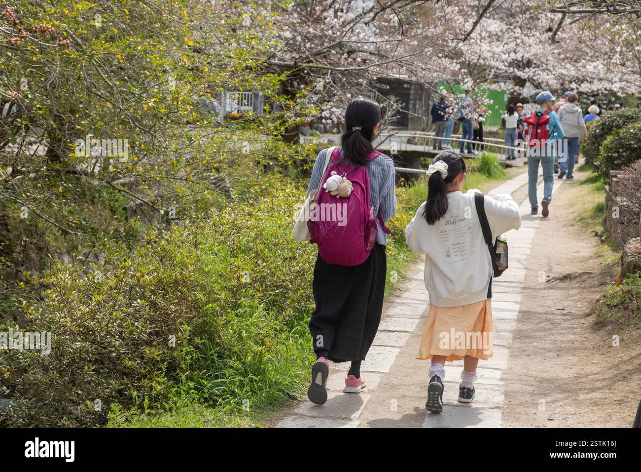 Kyoto, Japan, 3-3-2024: famous Philosopher’s Path in Kyoto during ...