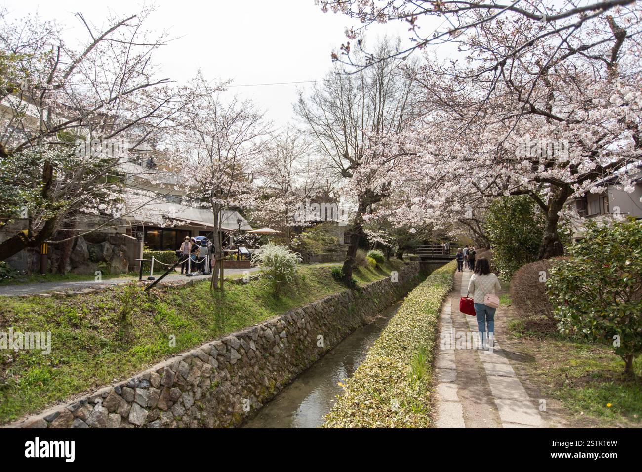 Kyoto, Japan, 3-3-2024: famous Philosopher’s Path in Kyoto during ...