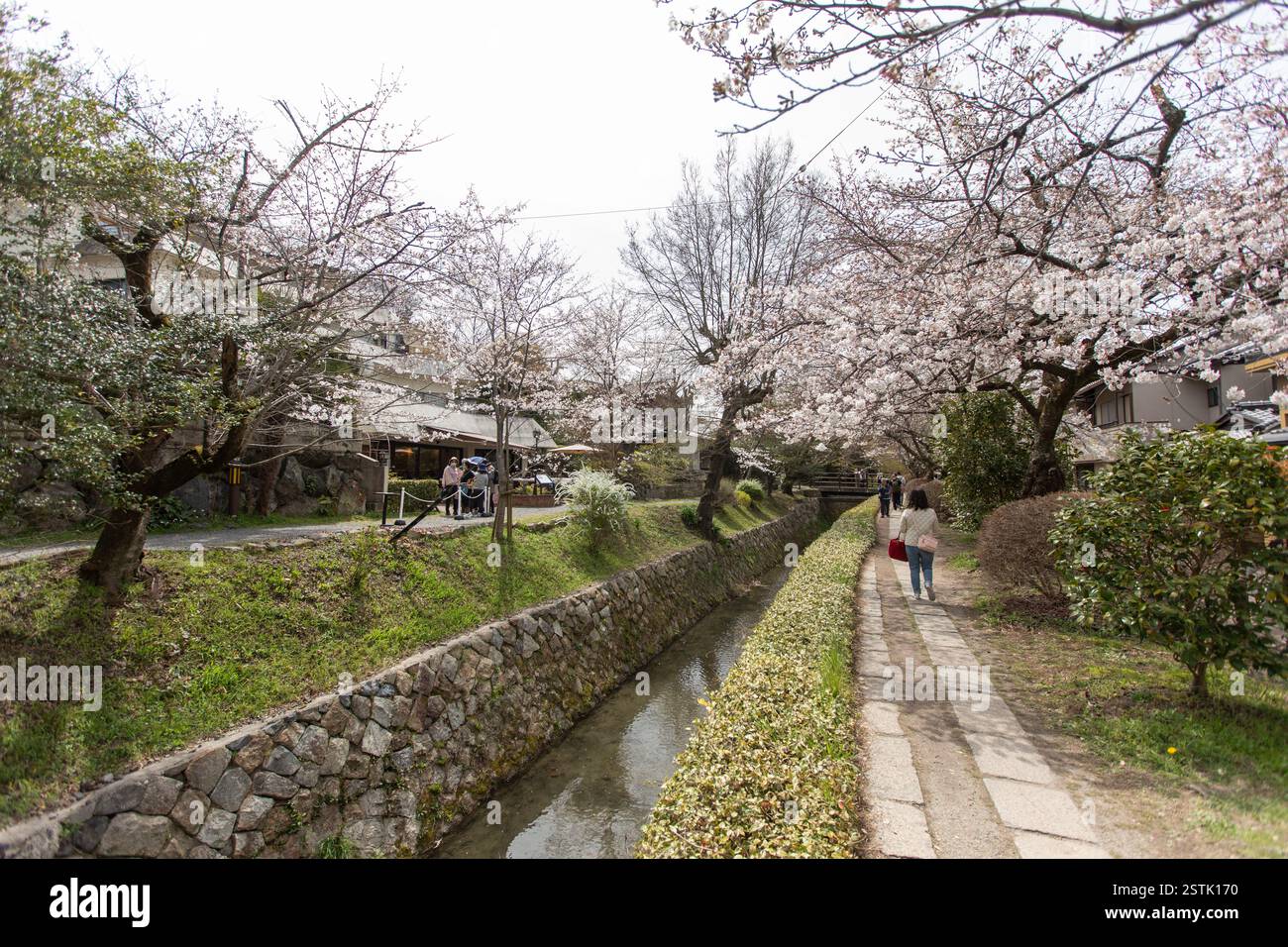 Kyoto, Japan, 3-3-2024: famous Philosopher’s Path in Kyoto during ...