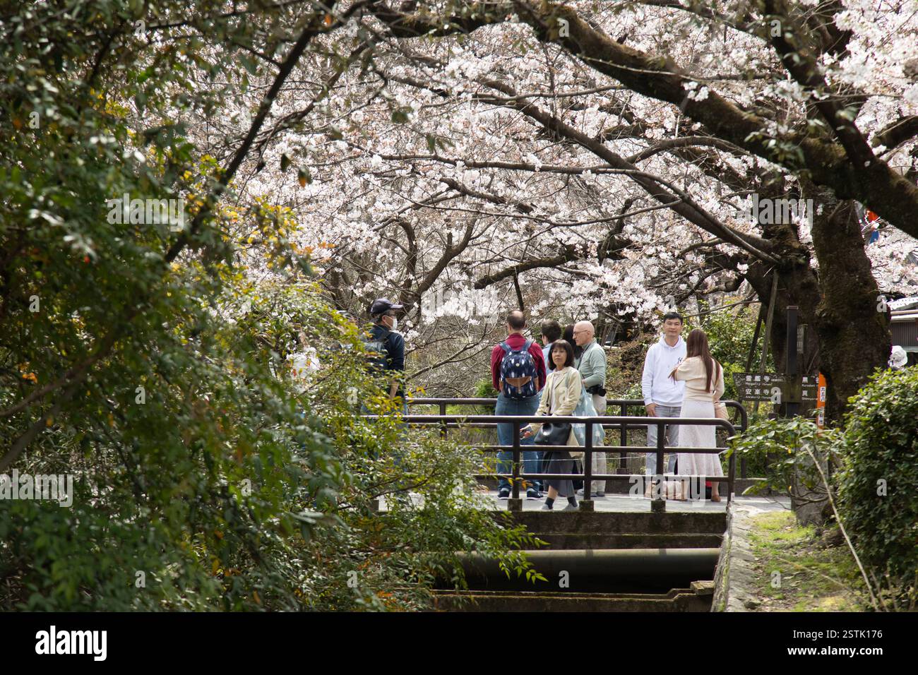 Kyoto, Japan, 3-3-2024: famous Philosopher’s Path in Kyoto during ...