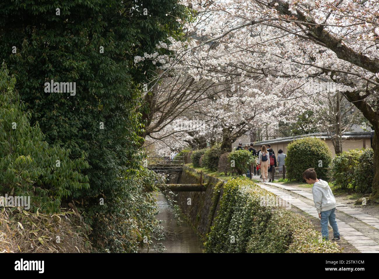 Kyoto, Japan, 3-3-2024: famous Philosopher’s Path in Kyoto during ...