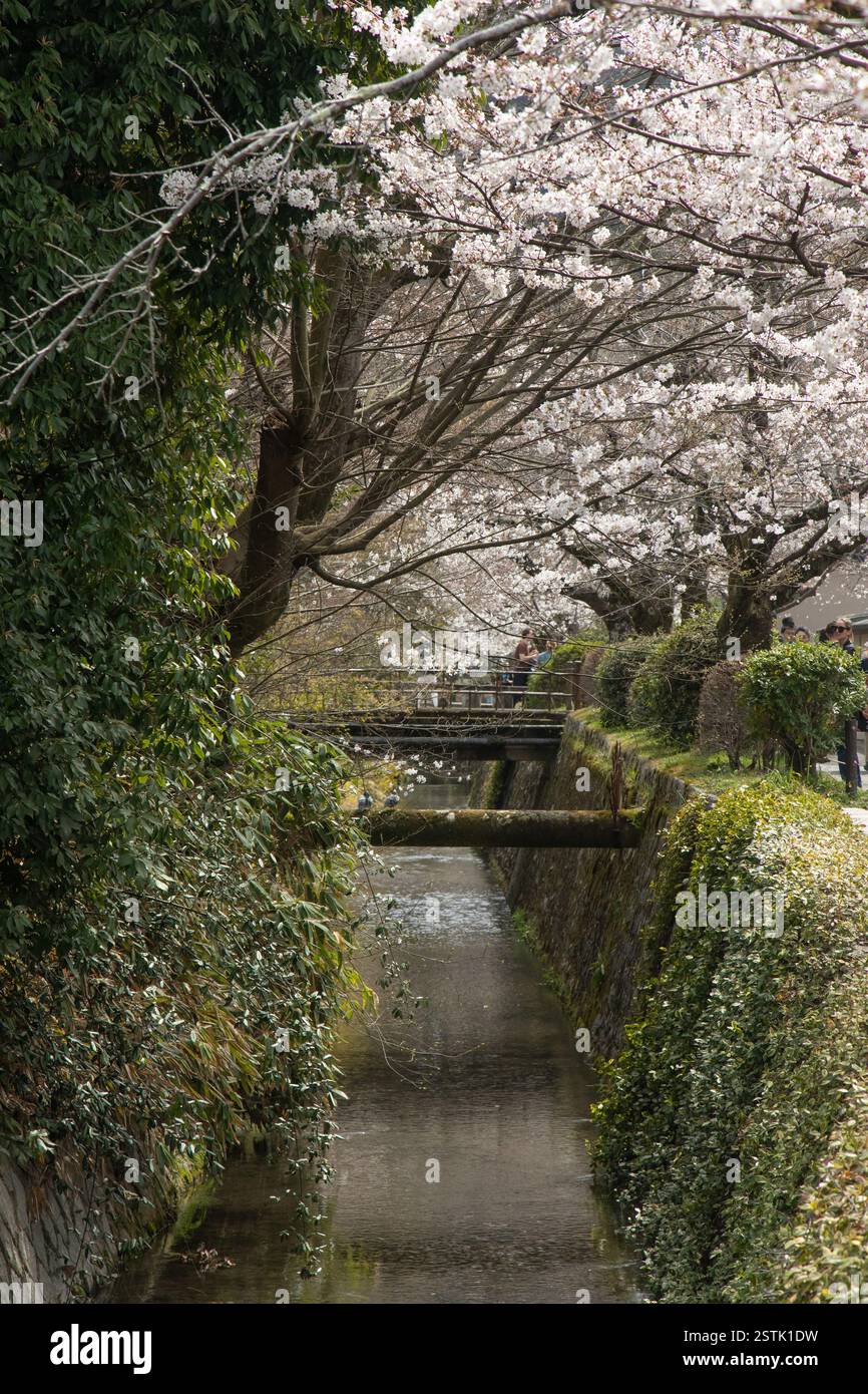 Japanese buddhist philosopher hi-res stock photography and images - Alamy