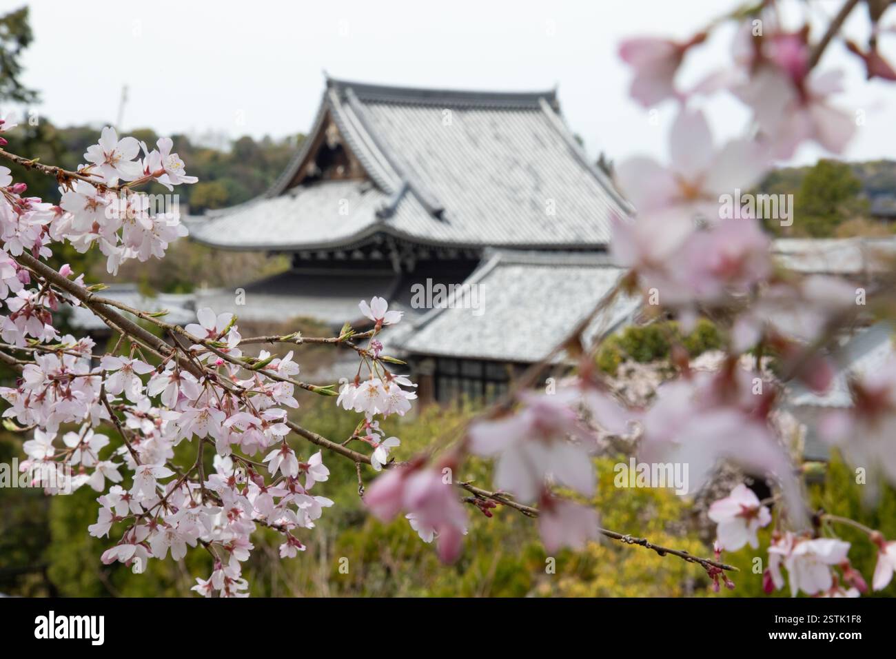 Kyoto, Japan, 3-3-2024: famous Philosopher’s Path in Kyoto during ...