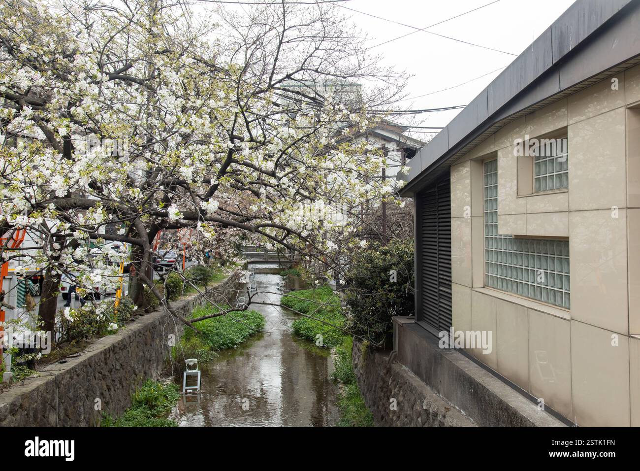 Kyoto, Japan, 3-3-2024: traditional Gion geisha district, near ...
