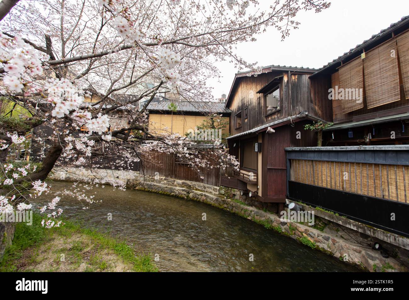 Kyoto, Japan, 3-3-2024: traditional Gion geisha district, near ...