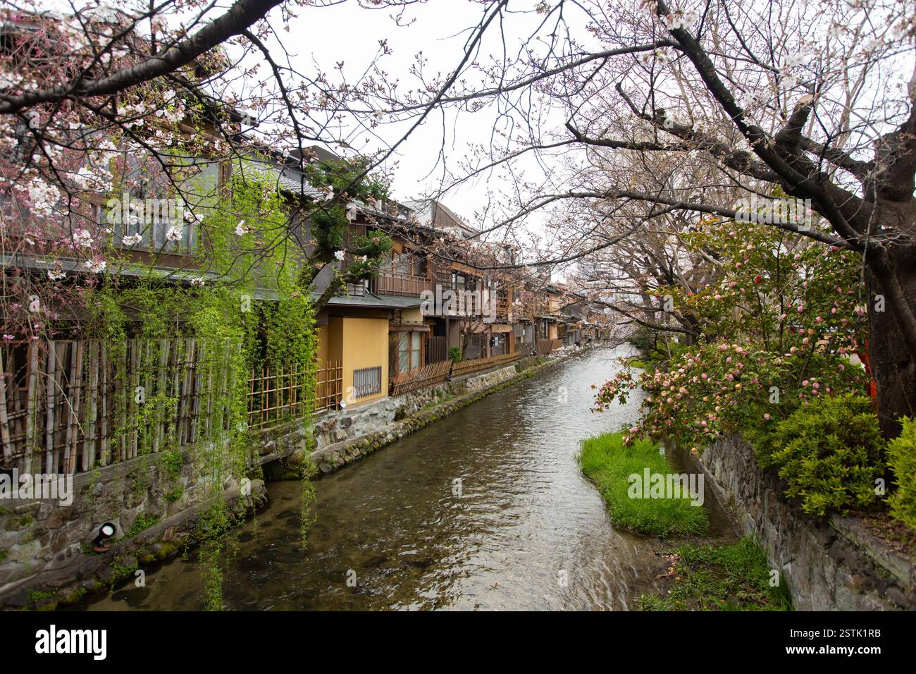 Kyoto, Japan, 3-3-2024: traditional Gion geisha district, near ...