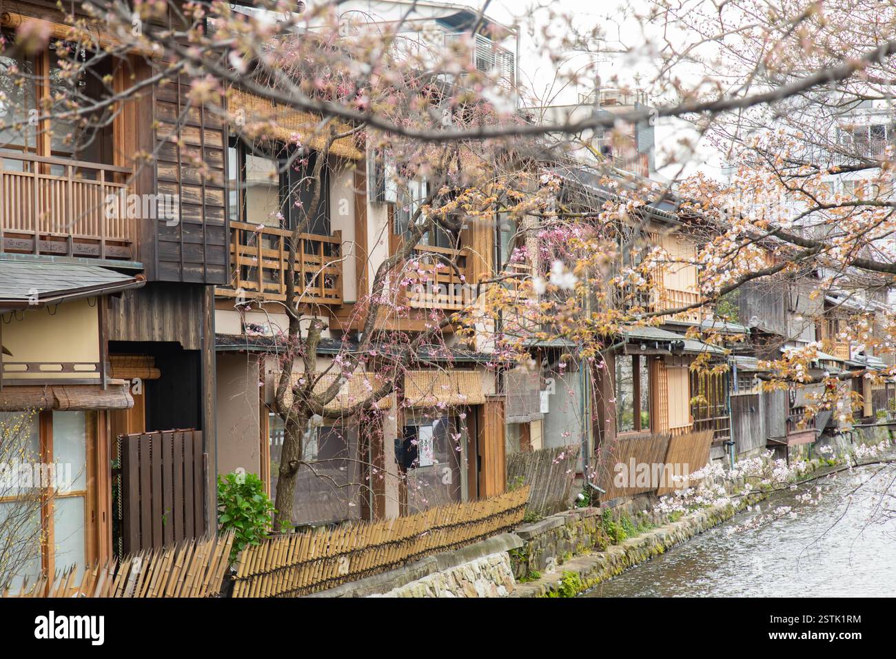 Kyoto, Japan, 3-3-2024: traditional Gion geisha district, near ...