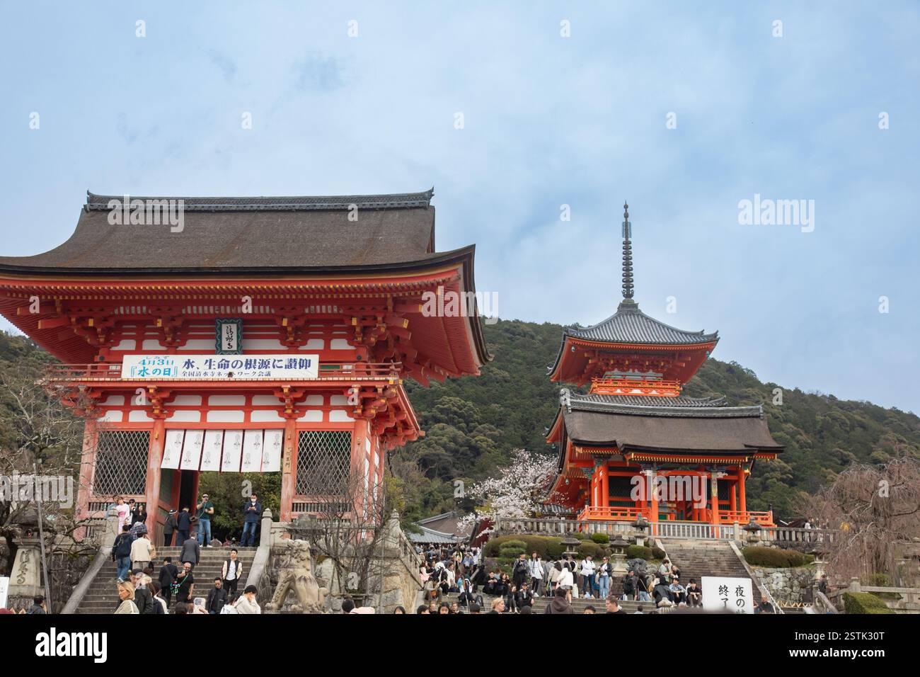 Kyoto, Japan, 3-3-2024: Kiyomizu-dera temple in Gion geisha district ...