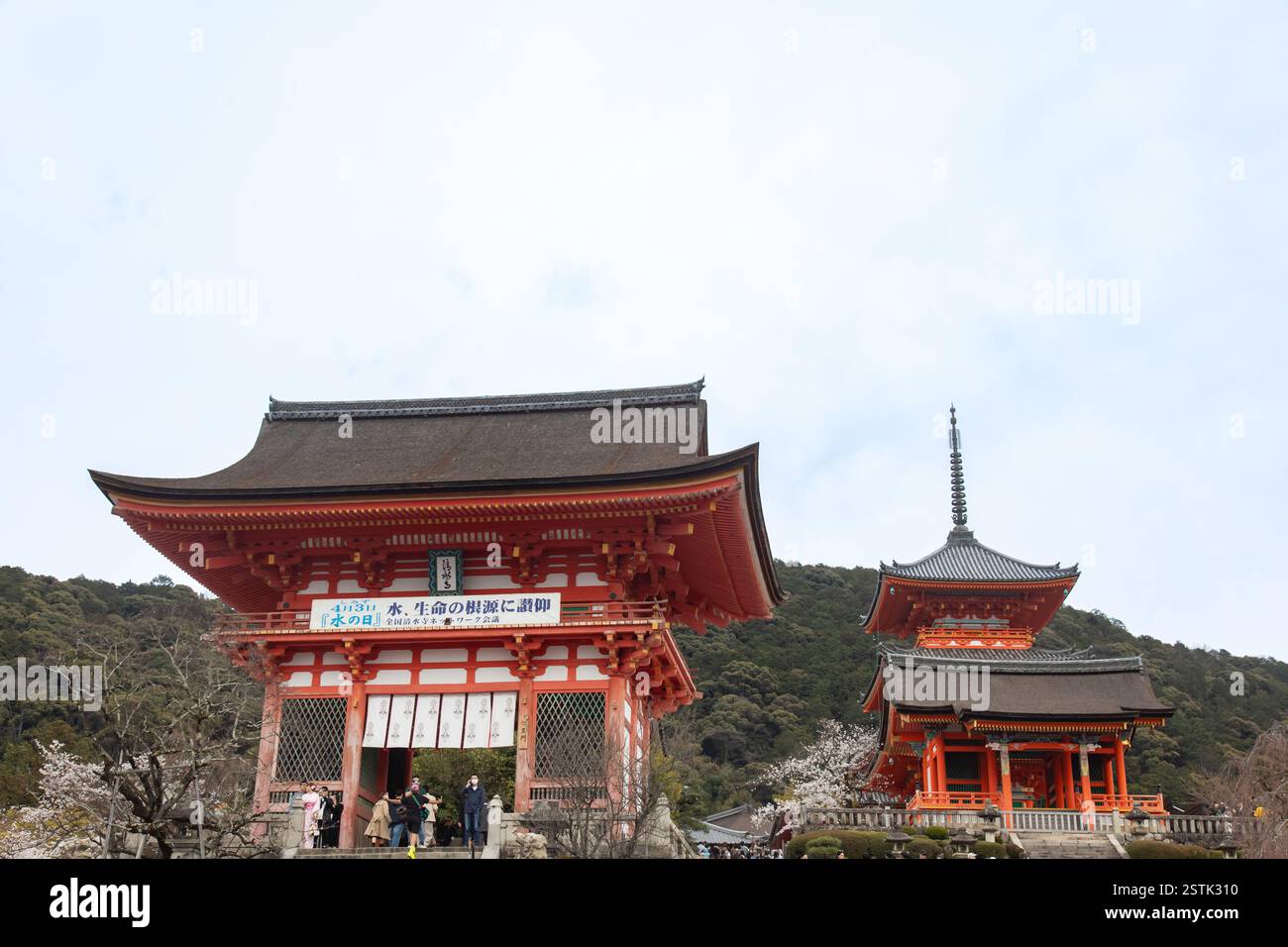 Kyoto, Japan, 3-3-2024: Kiyomizu-dera temple in Gion geisha district ...