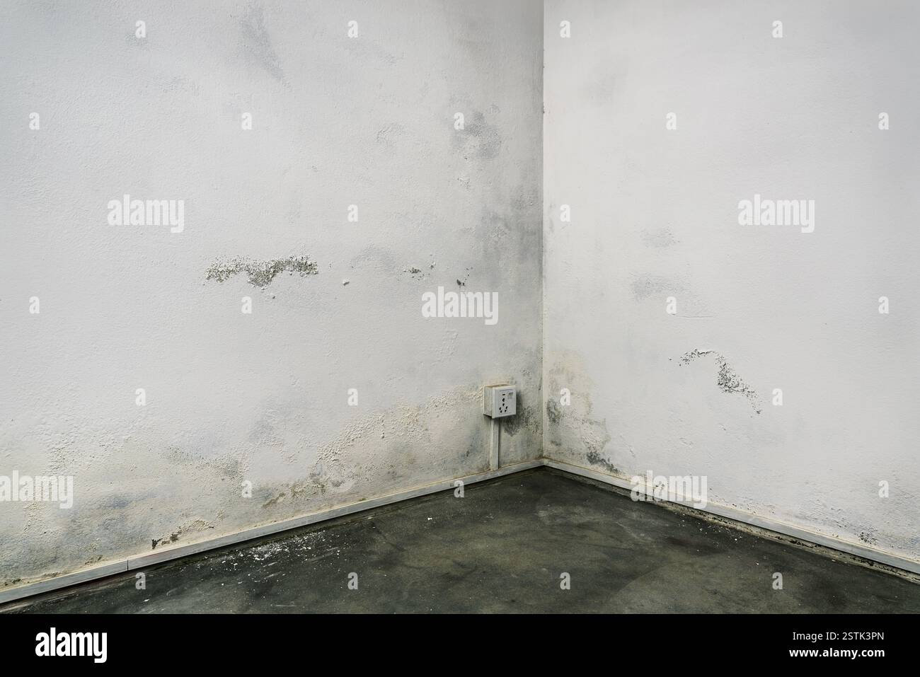 Grungy room corner with concrete floor and white walls damaged by damp ...
