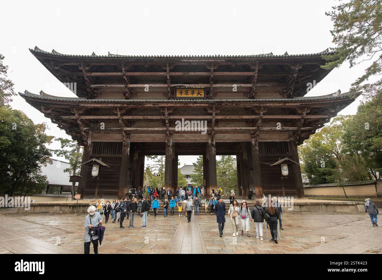Nara, Kyoto, Japan, 3-04-2024: Nara Park during hanami, cherry blossoms ...